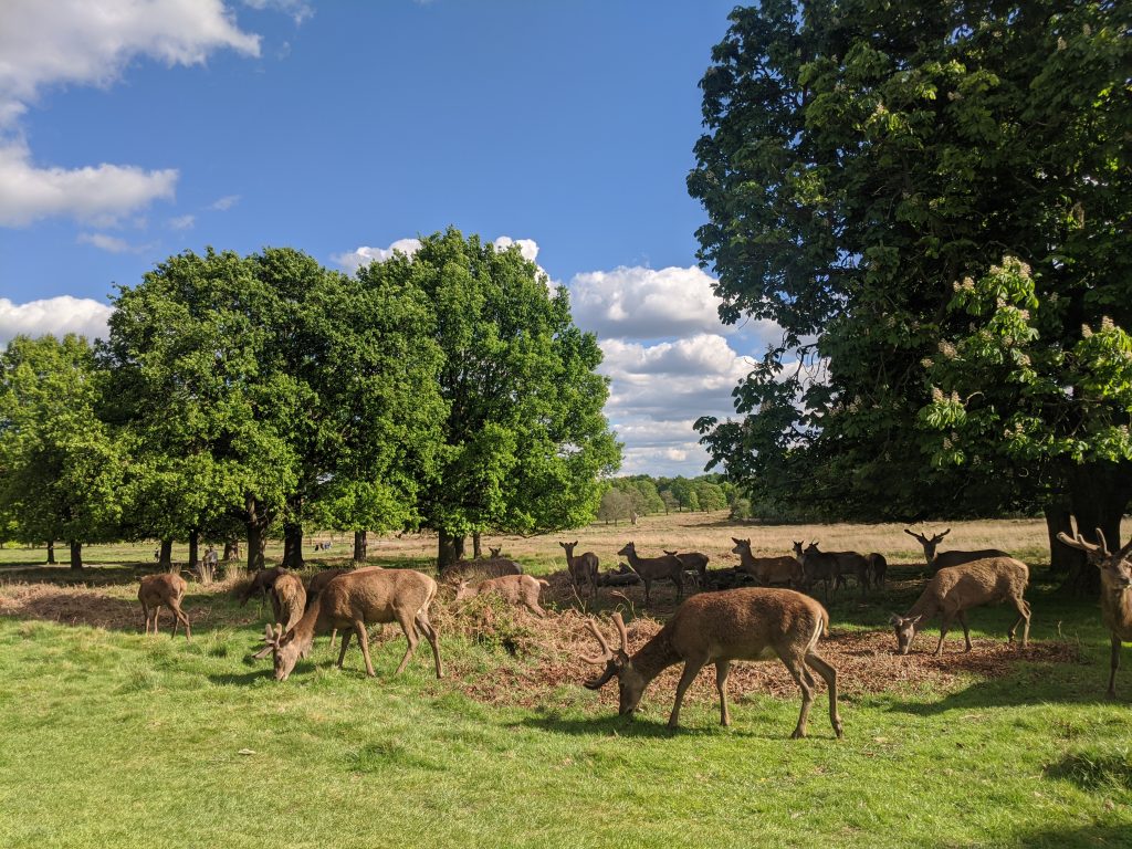 12 Safe Places to Live in London - 2026 Safest Area Guide