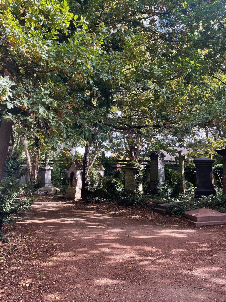 10 Best Things to Do in Stoke Newington: A Neighbourhood Guide